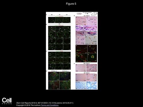 Volume 6 Issue 6 Pages June 2016 Ppt Download