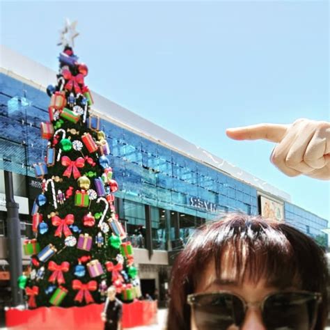 我家小黑狗剛撿到的時候也是這麼乖巧，啊沒多久熟悉環境後就秒變身迅猛龍🥲