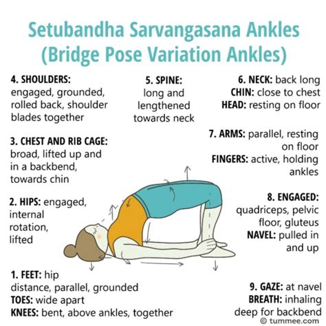 Bridge Variation By 𝔻𝕖𝕤𝕖𝕣𝕥 𝔽𝕠𝕩🦊 🌟 Exercise How To Skimble