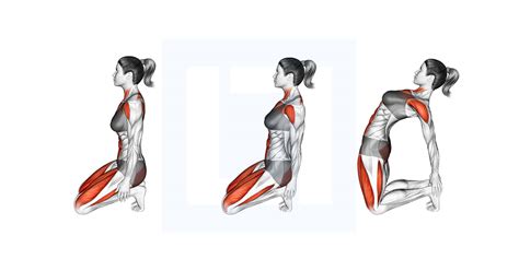 Camel Pose Ustrasana Guide Benefits And Form
