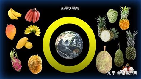 水果基础知识（一）：分类 知乎