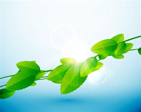 Premium Vector Nature Leaves Background