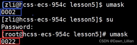 【linux基础】shell运行原理权限 内附大量实操截图 Shell 文件权限 Csdn博客