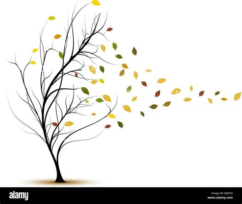 Wind Blowing Tree Leaves Stock Vector Images Alamy