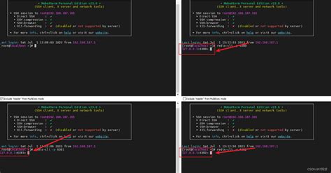 Redis普通集群搭建10（时间不是解药，但解药在时间里） Csdn博客