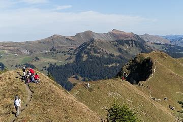 Bregenzerwald Glatthorn