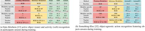 Egocentric Action Recognition Rgb Video Frames Of Optical Flow A