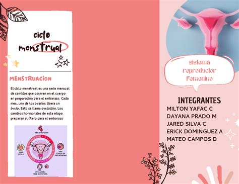 Triptico Femenino Ciencias Sociales Sistema Reproductor Femenino