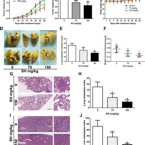 Pdf Sinomenine Hydrochloride Inhibits Breast Cancer Metastasis By