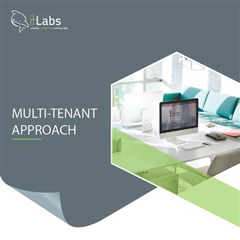White Paper “multi Tenant Approach” It Labs