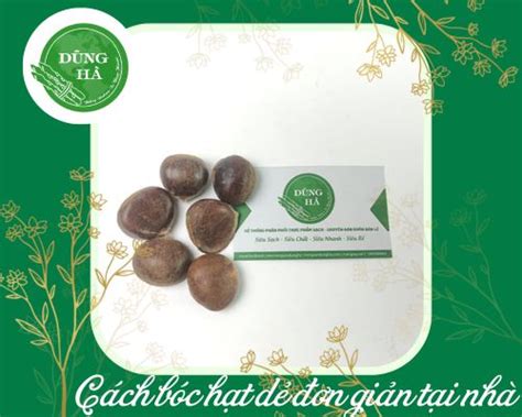 Mẹo Vặt Cách Bóc Hạt Dẻ Nhanh Trẻ Con Cũng Làm được