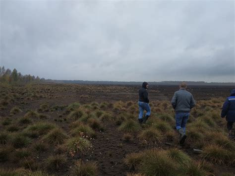 Peat Independent Substrate Consulting