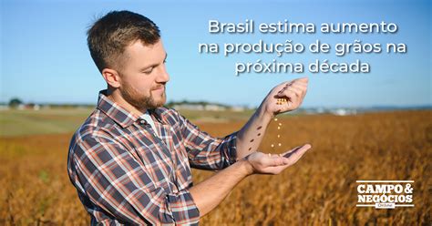 Brasil Estima Aumento Na Produção De Grãos Na Próxima Década Revista