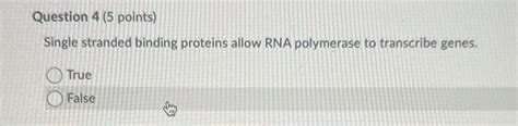 Solved Question 4 5 ﻿points Single Stranded Binding