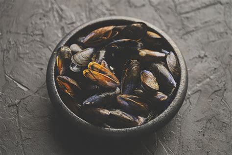 검은 색 세라믹 그릇에 신선한 생 바다 홍합은 어두운 돌 배경에 배치 0명에 대한 스톡 사진 및 기타 이미지 0명 날것