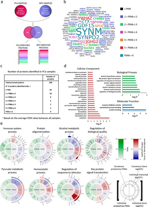 Identification Of PCa Enriched Proteins A Data Analysis Was Based On