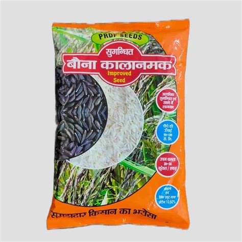 Kala Namak Kiran Paddy Improved Seeds Kisanjeevan
