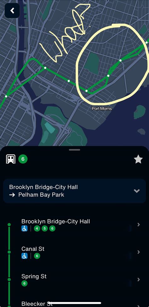 How Do I Remove The Weird Segments On The Map In The New MTA App R
