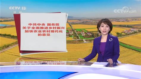 聚焦2021中央一号文件