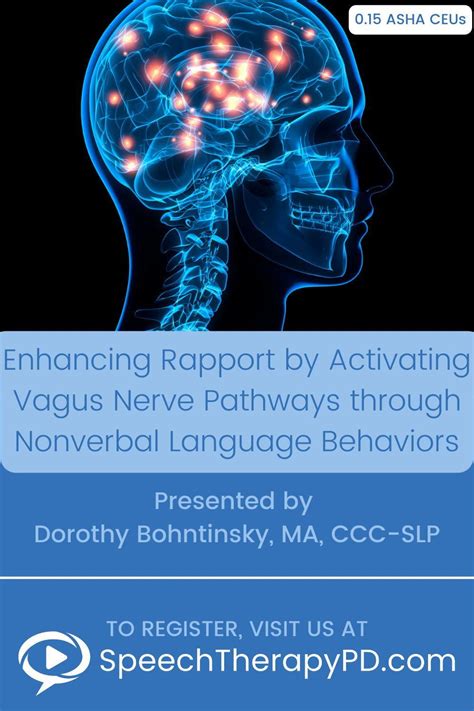 Evidence Regarding The Yawn And Precuneus The Polyvagal Theory Heart