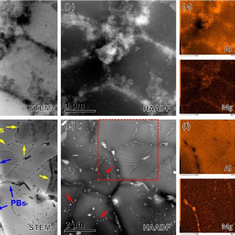 A And D Stem Micrographs B And E Haadf Micrographs And C And F