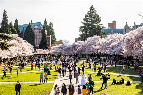 Colleges And Schools About The Uw