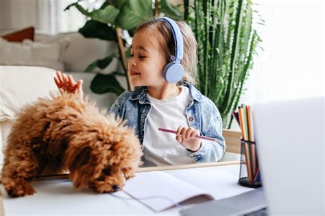 개와 원격으로 가르치는 교사와 집에서 홈 스쿨링 거리 학습 가정 생활에 대한 스톡 사진 및 기타 이미지 가정 생활 개