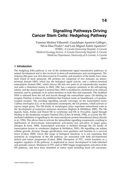 Pdf Signalling Pathways Driving Cancer Stem Cells Hedgehog Pdfs14470