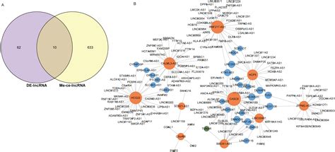 Diagnostic Model Of Combined Cerna And Dna Methylation Related Genes In Esophageal Carcinoma [peerj]