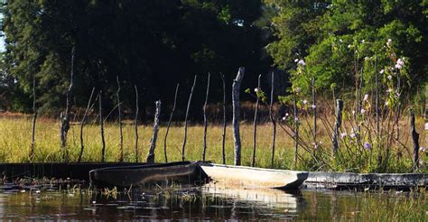 Okavango Delta Mokoro Day Tour Water Activity In Okavango Delta