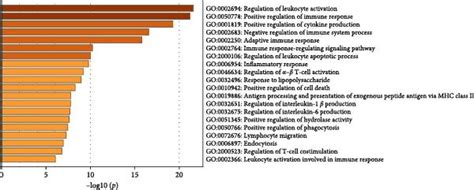 Analysis Results For Common DEG Enrichment A The GO Pathway