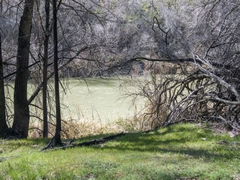 First Spring Grass Covers The Bank Of A Irrigation Ditch Stock Image