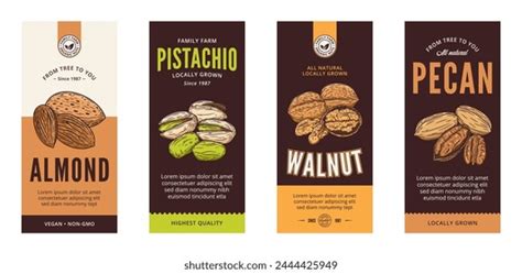Vector Various Nut Labels Modern Style Stock Vector Royalty Free