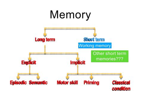 Higher Cortical Functions Examination 4may2020 Pptx