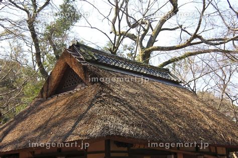 藁葺き屋根の写真素材 24132034 イメージマート