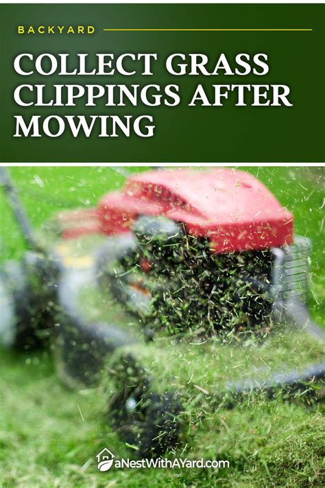 How To Collect Grass Clippings After Mowing In 2023 Artofit
