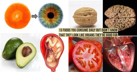 Fruits That Resemble Body Parts
