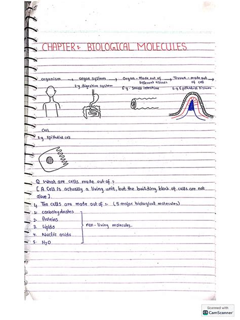 Bi Logical Pdf