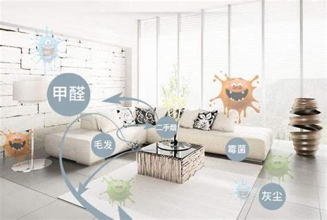 如何才能挑选到专业的除甲醛公司？ 知乎