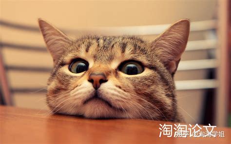 Sci拒稿与拒稿重投的区别？ 知乎