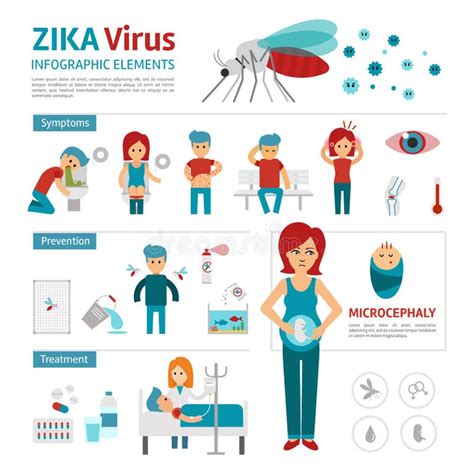 Zika Virus Infographic Elements Vector Flat Design Illustration Zika