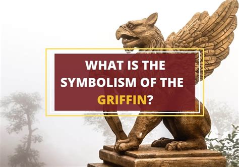 What Was The Griffin History Origins And Symbolism Symbol Sage