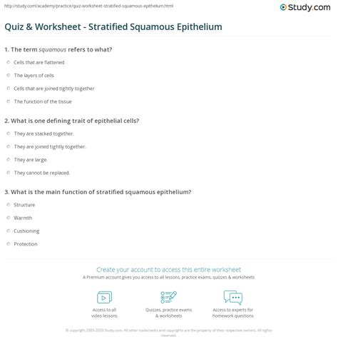 Quiz And Worksheet Stratified Squamous Epithelium