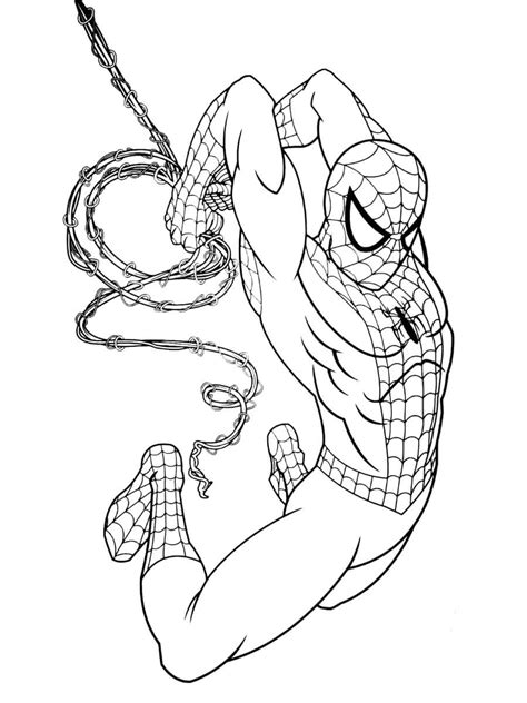 Hombre Araña Basico para colorear imprimir e dibujar ColoringOnly