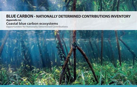 Blue Carbon Nationally Determined Contributions Inventory Appendix