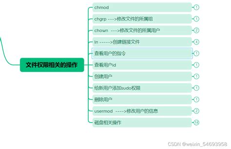 作业：整理思维导图复习vim相关知识点把磁盘相关的操作，自己实践一遍复习shell相关内容 csdn博客