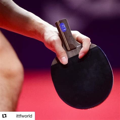 Dynasty Carbon Xu Xin Edition is... - STIGA Table Tennis