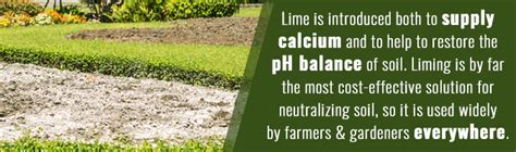 Lime Or Fertilizer First