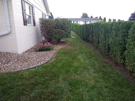 Joes Lawn Care And Handman Services Gallery