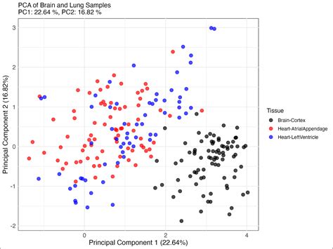 🔎how To Handle Missing Values In Your Data By Dhana Data Science